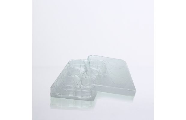 Produk | Multi Well Plate, Treated, 12 wells, flat bottom | PT ...