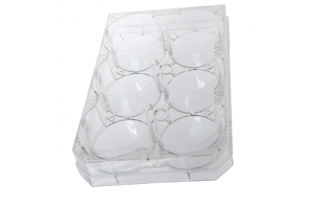 Produk | Multi Well Plate, w/o cover, Non-Treated, 6 wells, flat bottom ...